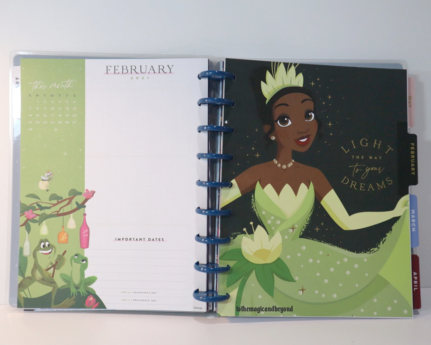 Our Disney X Happy Planner Purchase! – To The Magic And Beyond